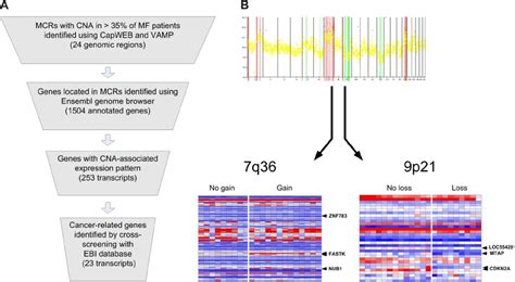 Integration Of Array Based Cgh And Gene Expression Data A Stepwise