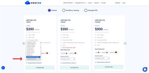 How To Order A Lifetime Vps Hosting Voxfor