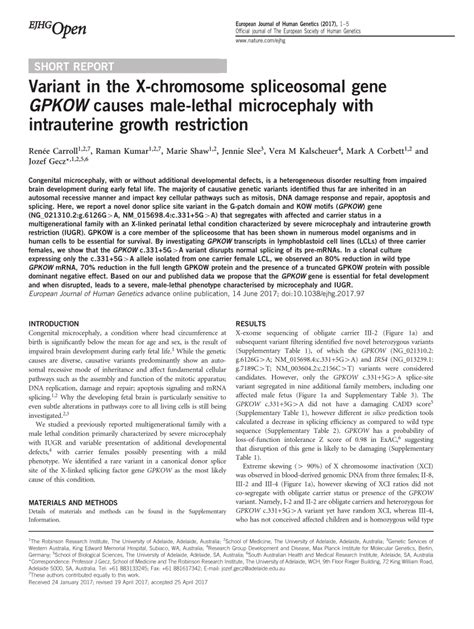 Pdf Variant In The X Chromosome Spliceosomal Gene Gpkow Causes Male Lethal Microcephaly With