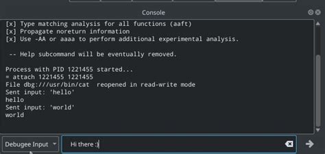 Radare2 Is There Any Way To Display The Standard Input And Output Of