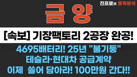 금양 100만주 블록딜 4695배터리 초대형계약 잭팟 금양 금양주가전망 금양매도가 금양리튬광산 대박주 포스코홀딩스 진프로 Youtube