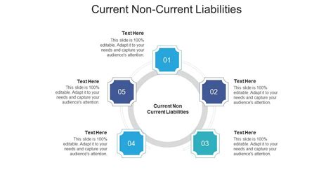 Non Current Liabilities
