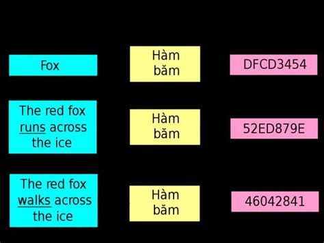 Tìm Hiểu Hash Trong Blockchain Là Gì Và Tầm Quan Trọng Của Nó