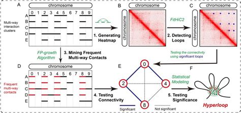 Statistical Modeling And Significance Estimation Of Multi Way Chromatin Contacts With