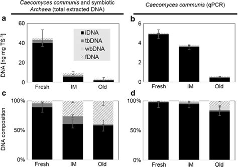 A B Mean Absolute And C D Relative Dna Amounts Of Approach Iii