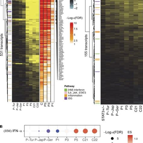 Induction Of Target Genes In The Patients Ebv B Cells Rna Seq