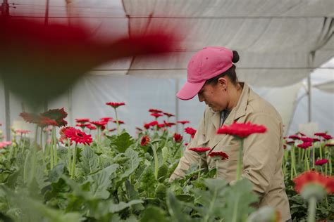 Hub De Bioeconomía Probogotá