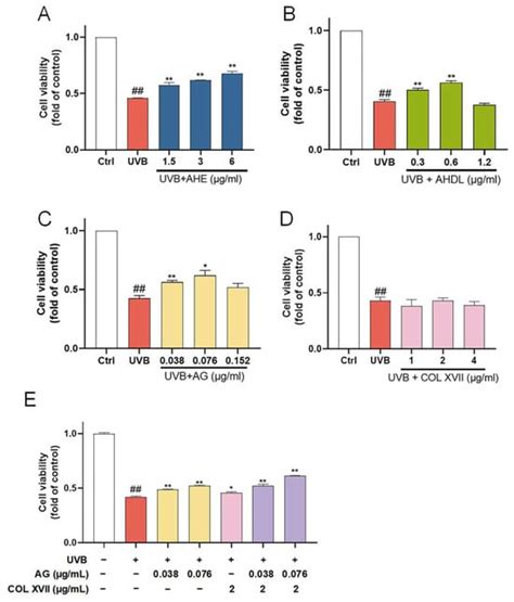 Exploring The Active Constituents Of Andrographis Paniculata In Protecting The Skin Barrier And