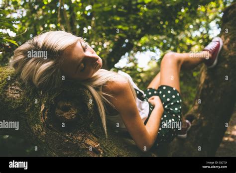 Lying On The Tree Hi Res Stock Photography And Images Alamy