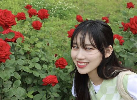 포브스 선정 장미랑 잘 어울리는 여돌  인스티즈 Instiz 이슈 카테고리