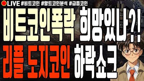 실시간 비트코인폭락 희망있나 리플 도지코인 하락쇼크 버추얼프로토콜 오닉스코인 비토르토큰 무브먼트 애니메코인 알트코인 폭락 2월 3일 저녁 라이브 비트코인 불장