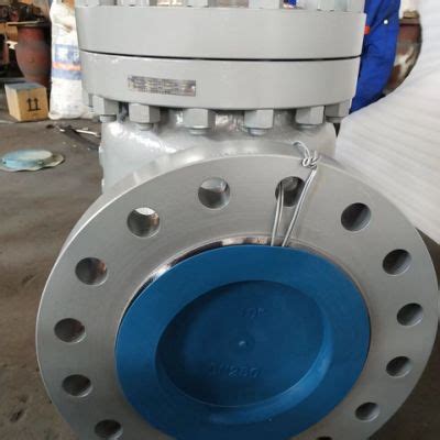 Double Swing Check Valve Industrial Control Valves API 6A 6D ASME Standard For Oil Pipeline