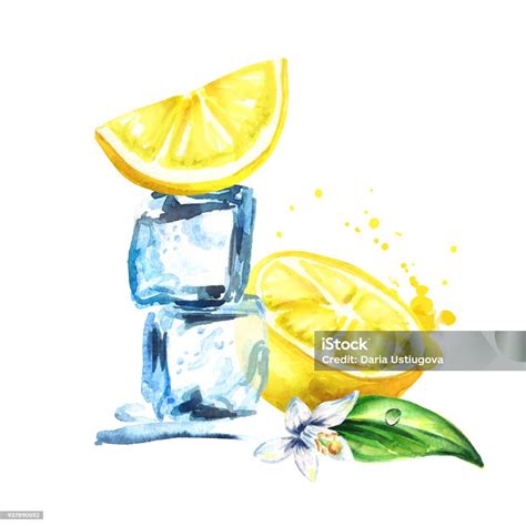 얼음 조각 고 흰색 배경에 고립 된 꽃과 레몬 수채화 손으로 그린 그림 0명에 대한 스톡 벡터 아트 및 기타 이미지 0명 감귤류 과일 건강한 생활방식 Istock