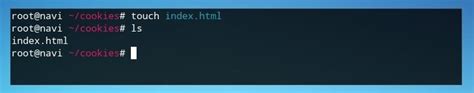 How To Write An XSS Cookie Stealer In JavaScript To Steal Passwords Null Byte WonderHowTo