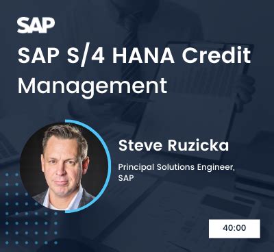 SAP Display Customer Line Items