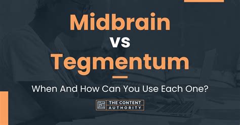 Midbrain Vs Tegmentum When And How Can You Use Each One