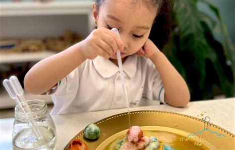 Exciting Science Experiments For Preschoolers To Try At Home The