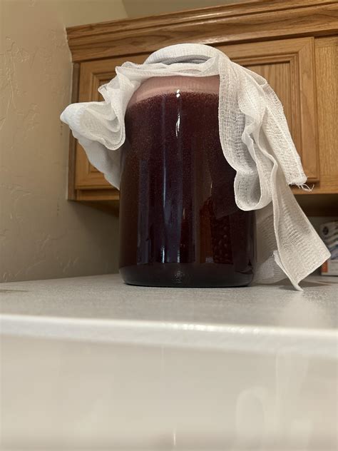 Just Started My First Batch R Mead