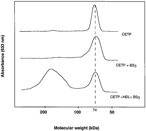 Determination Of Cetp Binding To Isolated Hdl Cetp 28 Mgliter Was