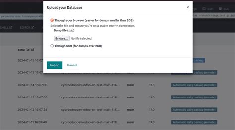 How To Import Database In Odoo Sh