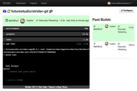 Strider — How To Manually Add Git Or Gogs Repository And Run Tests Automatically