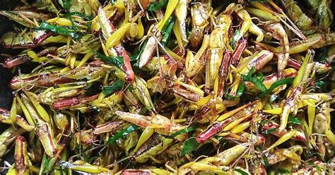 Grasshopper With Lime Leaves Imgur