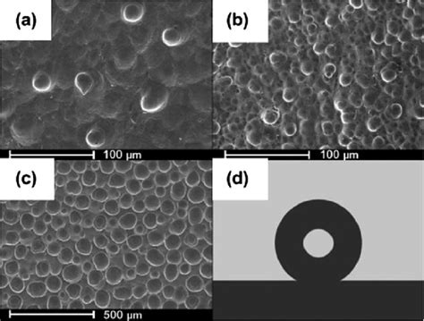 Sem Micrographs Of Wafers Of Cu In Nitric Acid With Download Scientific Diagram
