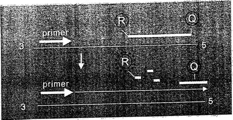 Gene Detection Reagent Kit For Sars Virus And Its Detection Method Eureka Patsnap