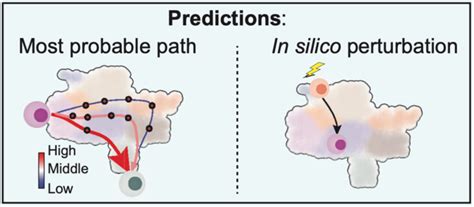 Dynamo Modeling IMAGE EurekAlert Science News Releases