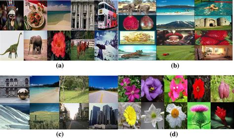 Sample Images From A Wangs B Corel 10k C Ot Scene D Oxford Flower