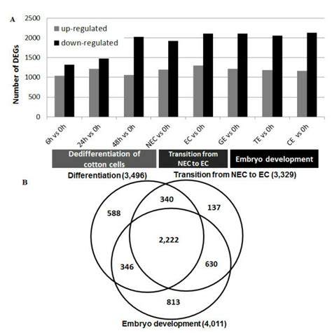 Histogram And Venn Diagram Of Differentially Expressed Genes During Se Download Scientific