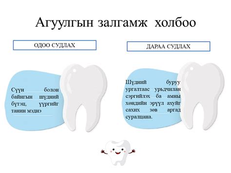 Мэдлээ Цахим контент