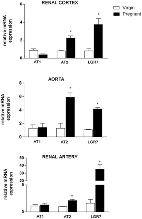 Individual Samples Were Normalized To β Actin Mrna Levels And Data Are