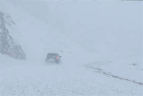 Цасан шуурганаар мал хариулж яваад таван эмэгтэй нэг хүүхэд амиа алджээ