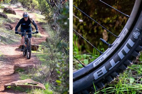 WTB Now Offering Complete Wheels - BIKEPACKING.com