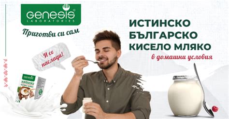 Българско кисело мляко в домашни условия Пробиотици и закваски за