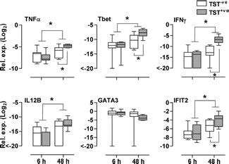 Validation Of Microarray Data By QPCR Quantitative PCR Of Selected Download Scientific Diagram