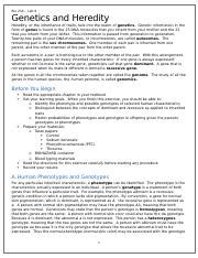Lab Genetics And Heredity Docx Bio Lab Genetics And Heredity Heredity Or The