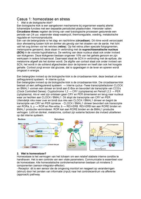 Gen 1104 Regulatie En Integratie Casus 1 Casus 1 Homeostase En