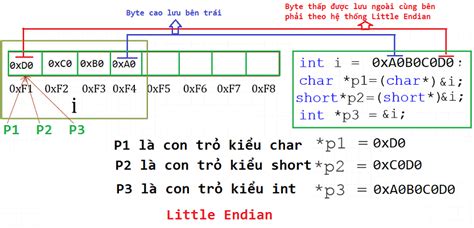 Bit Endian và Little Endian trong lập trình Programming Tutorial