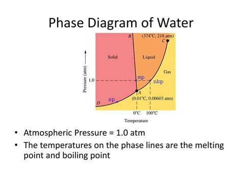 The Importance Of Understanding Boiling Point Diagrams For Chemical