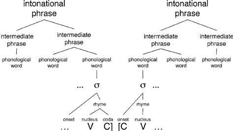 a diagram showing a partial example of the hierarchical relations among