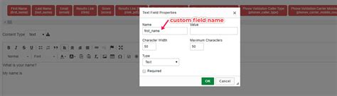 How To Capture Data Using Custom Fields Inside The Text Editor