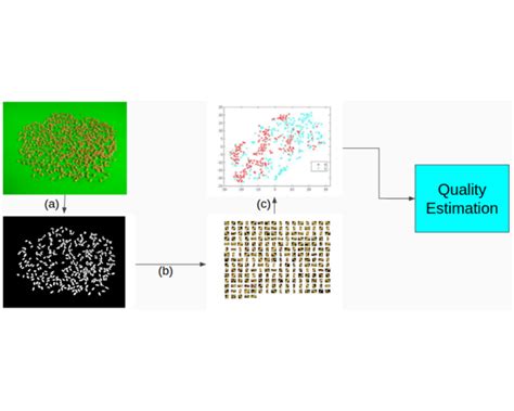 Automatic Wheat Grain Quality Estimation Prakhar Kulshreshtha