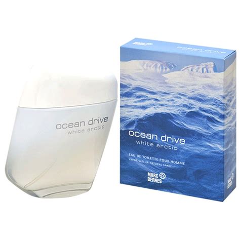 Туалетная вода мужская Ocean Drive White Arctic 100мл Positive Parfum ...