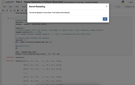 Problem With Part Neural Networks In PyTorch Exercises Issue Udacity Deep