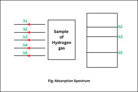 What Is Spectrum Types Of Spectrum Scienly