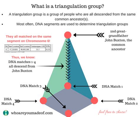 How To Triangulate Dna Matches To Identify Unknown Ancestor Who Are