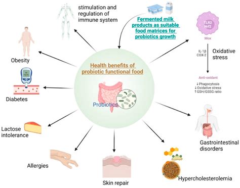 Probiotic Bacteria Benefits