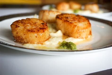 Seared Scallops With Parsnip Puree Dulcet Scintilla